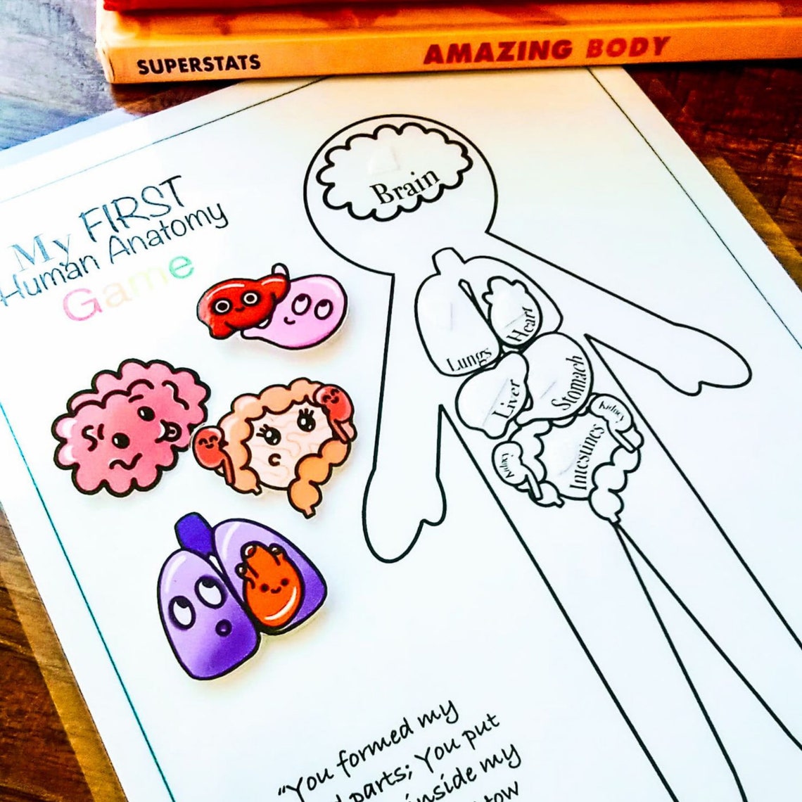 Skeletal System, Printable Human Body Preschool Activity, the Brain ...