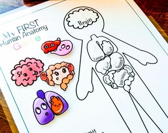 Human Anatomy Printable Busy Book Anatomy Binder - Etsy