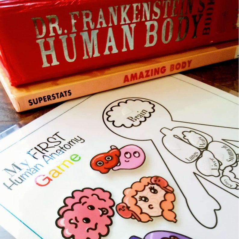 Skeletal System, Printable Human Body Preschool Activity, the Brain ...