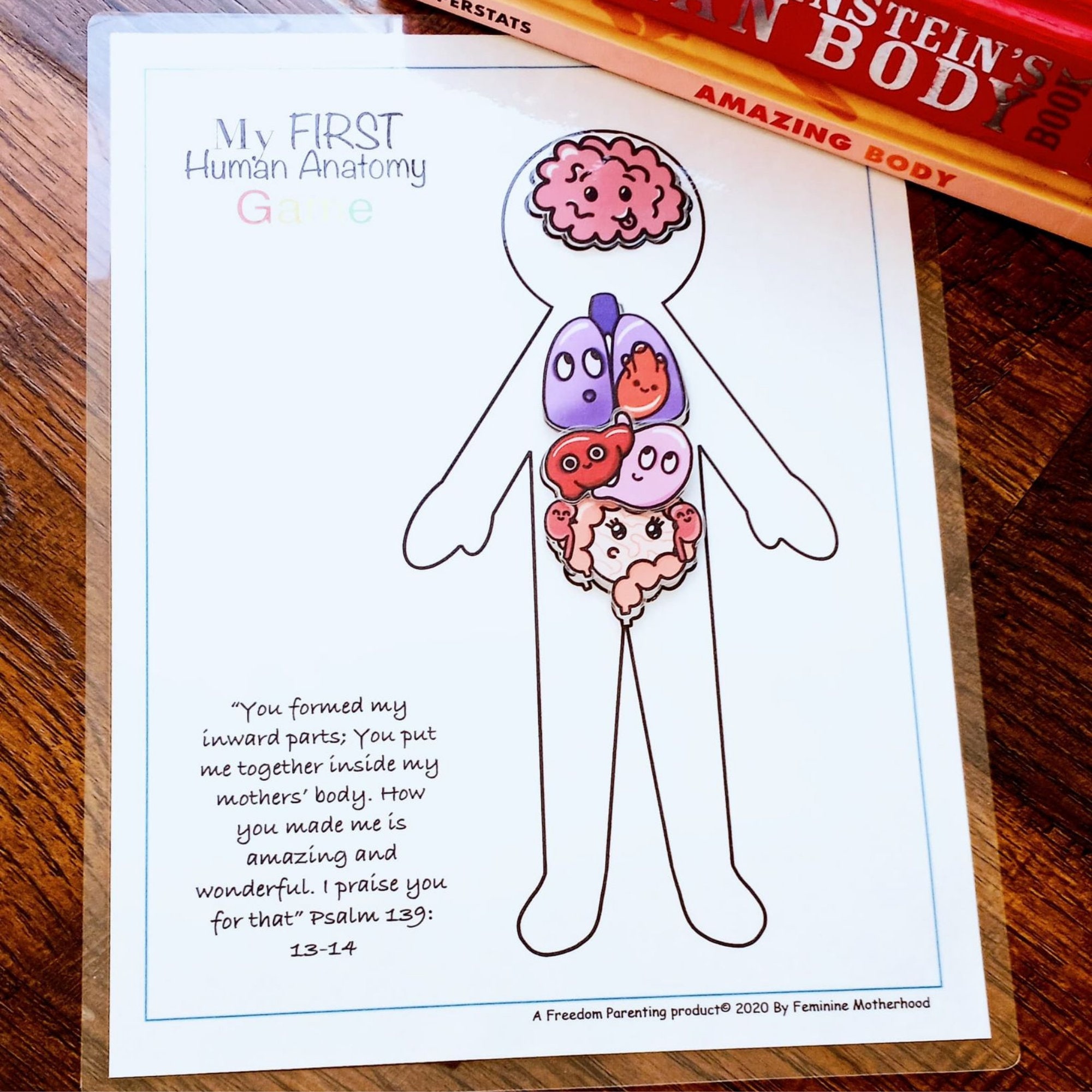 Skeletal System, Printable Human Body Preschool Activity, the Brain ...