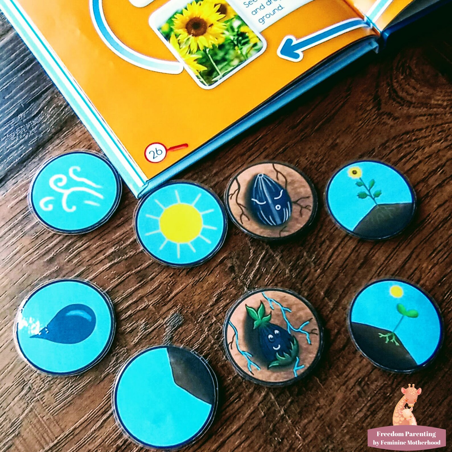 Plant Life Cycle Printable Activity Kids Science Game Nature | Etsy