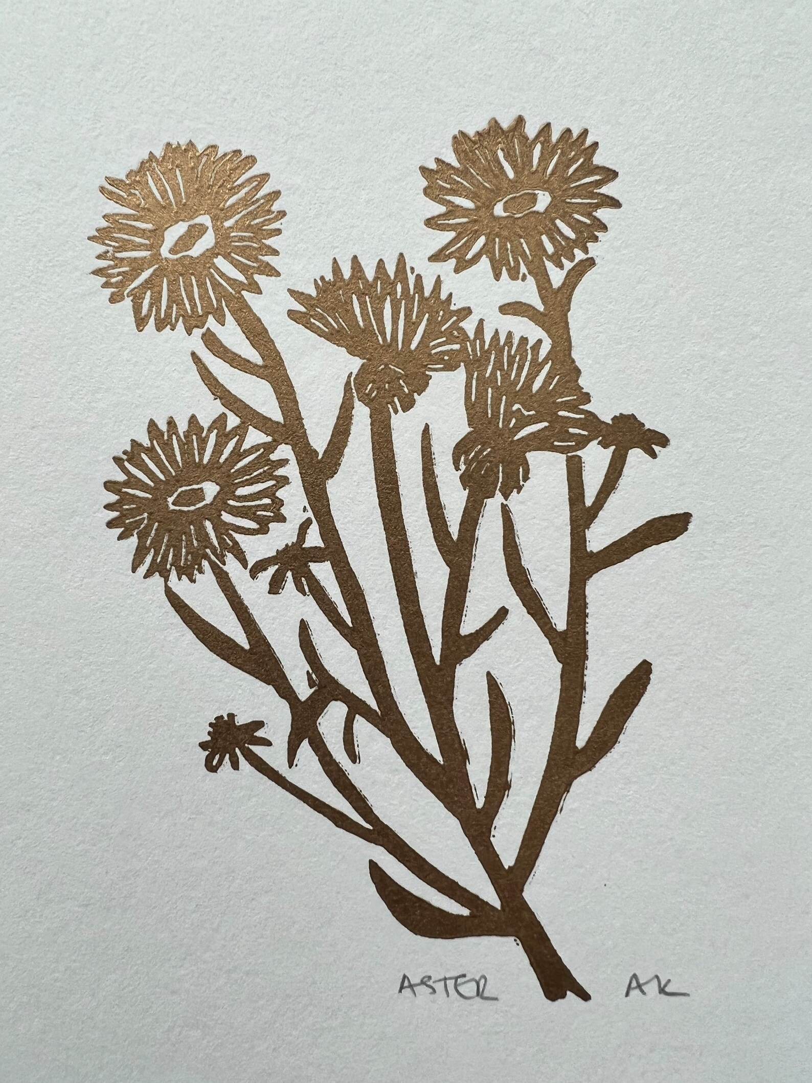 Aster Botanical Linocut Print - Etsy