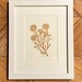 Aster Botanical Linocut Print - Etsy