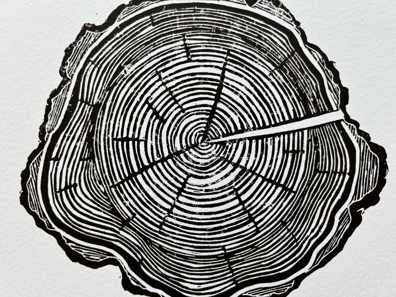 Oak Tree Ring Linocut Art Print - Etsy