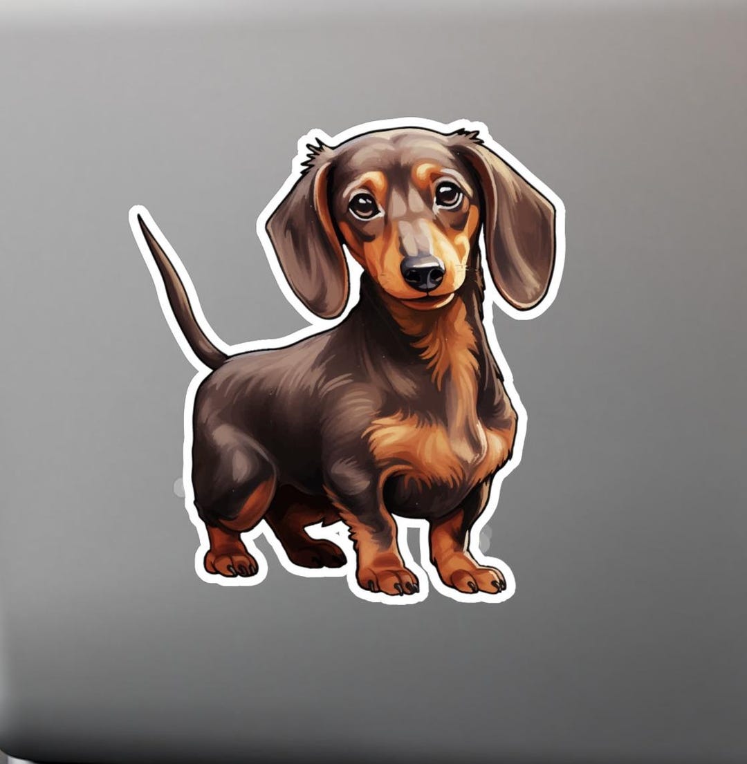 Super Cute Dachshund / Wiener Dog Vinyl STICKER / Decal (color) - 6 ...