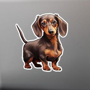 Super Cute Dachshund / Wiener Dog Vinyl STICKER / Decal (color) - 6 ...