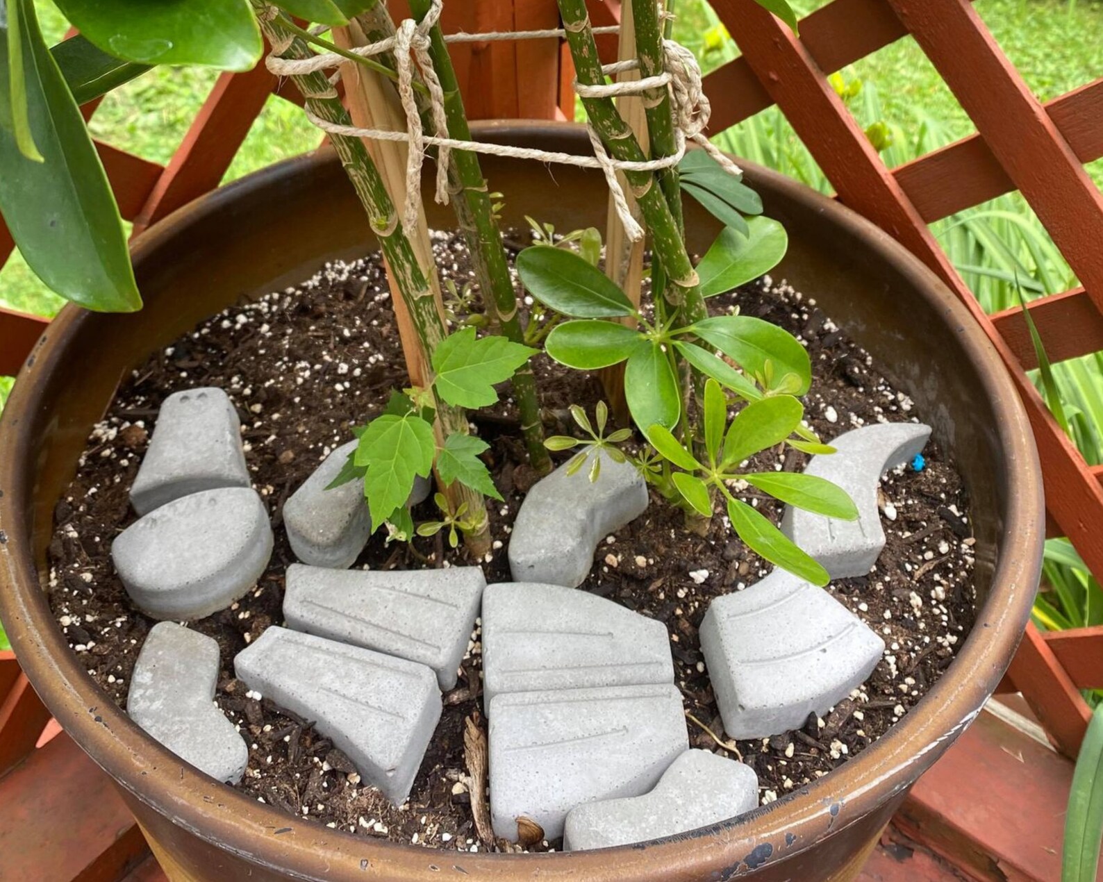 Alligator Stepping Stone, Alligator Stepping Stone, Alligator Garden ...
