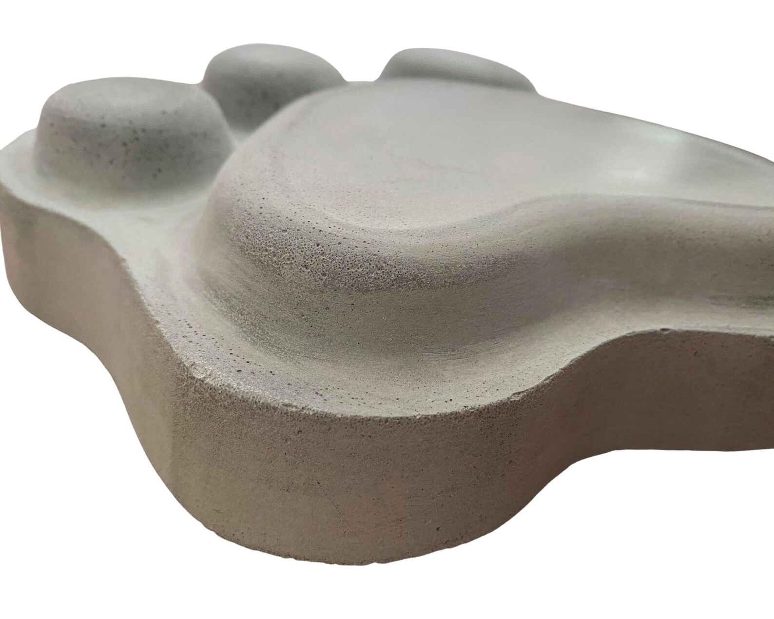 Paw Print Garden Stone-stepping Stone-paw Print Stepping Stone-garden ...