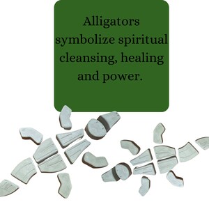 Alligator Stepping Stone, Alligator Stepping Stone, Alligator Garden ...