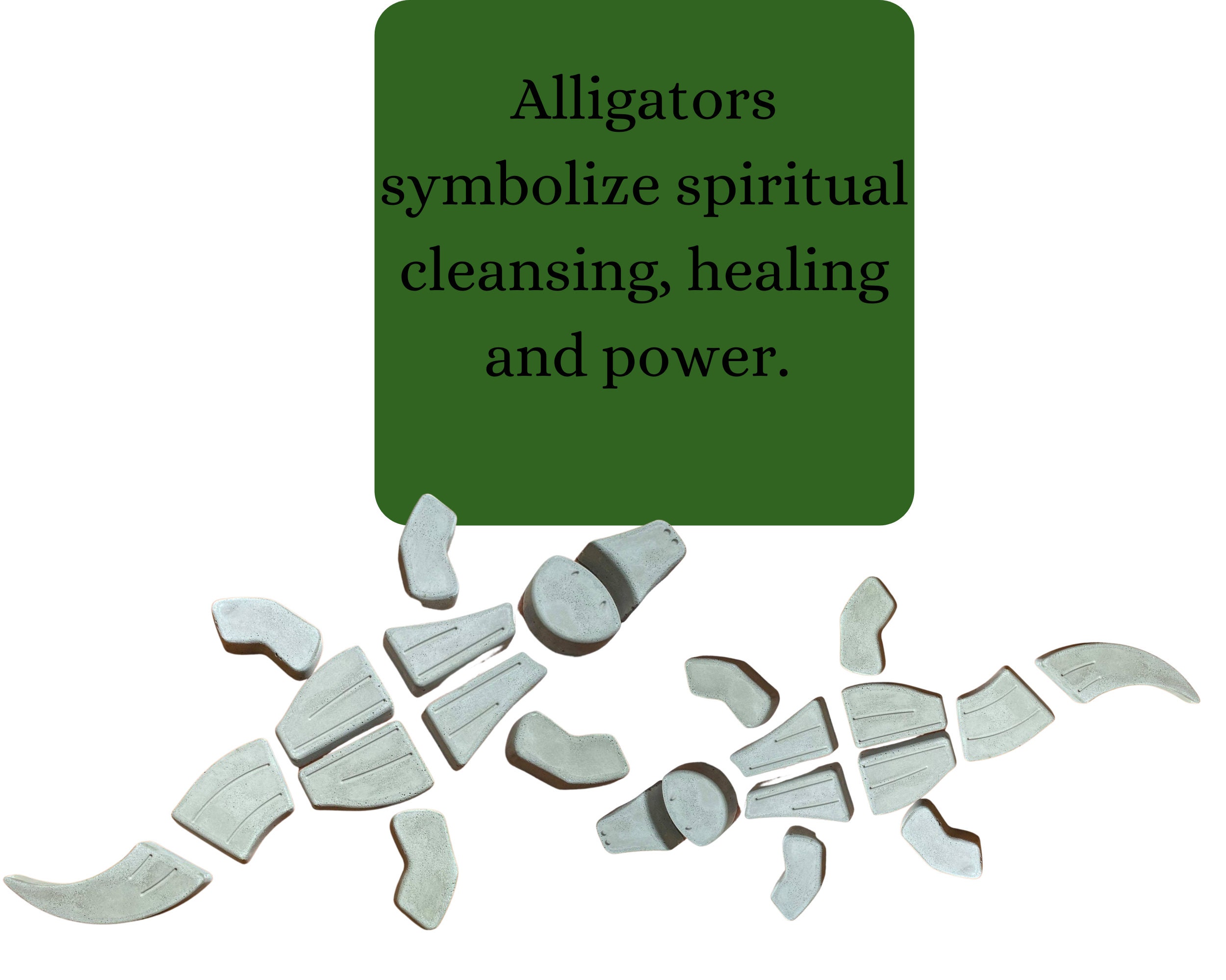 Alligator Stepping Stone, Alligator Stepping Stone, Alligator Garden ...