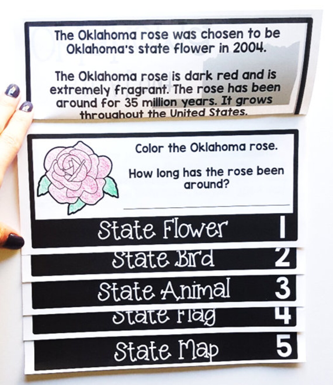 Oklahoma 3rd-5th Grade State Lesson | Symbols, Map, Flag, Reading ...