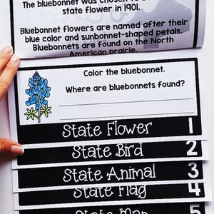 Texas State Flip Book | 3-5 | Homeschool | Social Studies Printable ...