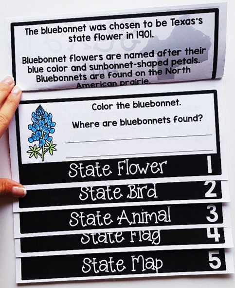 Texas State Flip Book | 3-5 | Homeschool | Social Studies Printable ...