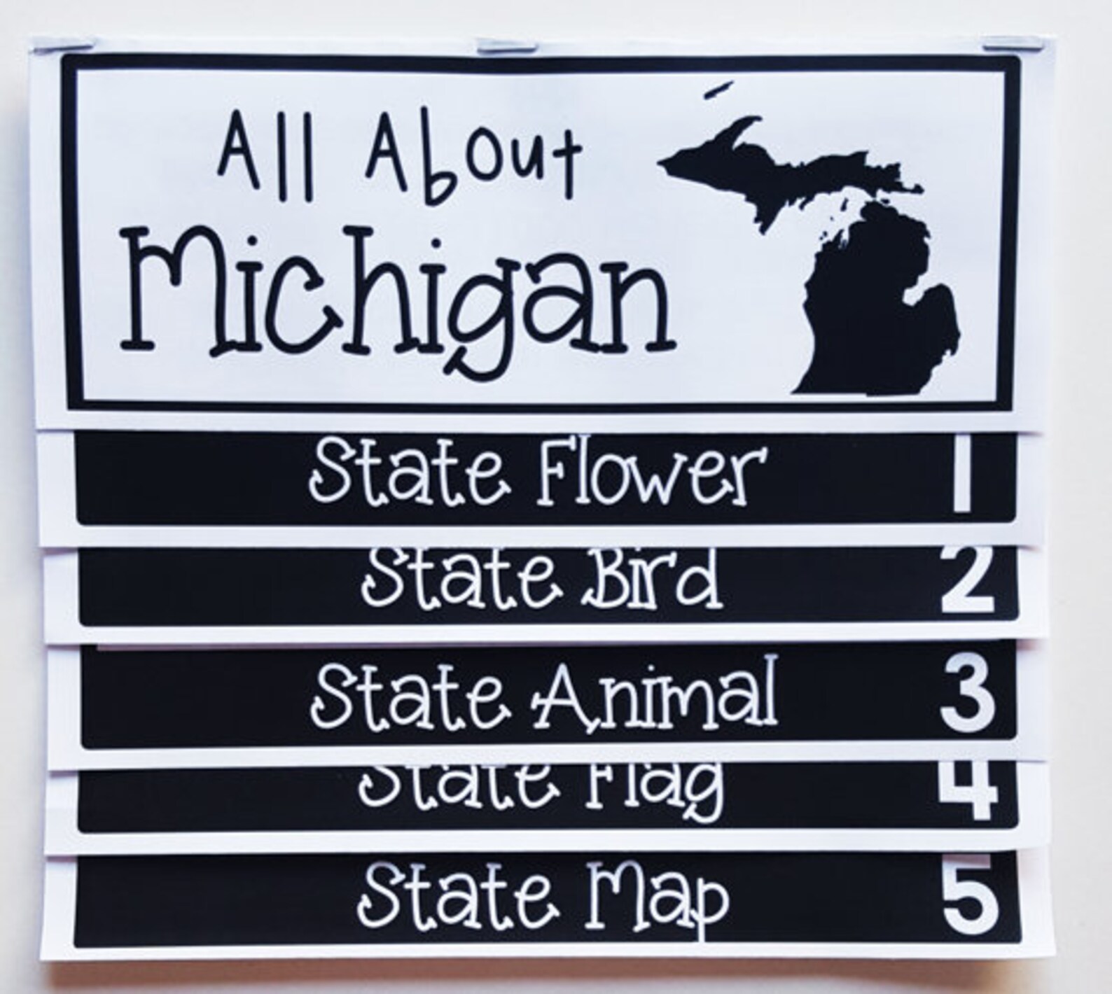 Michigan 3rd-5th Grade State Lesson | Symbols, Map, Flag, Reading ...