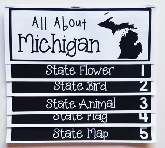 Michigan 3rd-5th Grade State Lesson | Symbols, Map, Flag, Reading ...