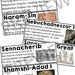Ancient Mesopotamia Word Wall and Vocabulary Activities - Etsy