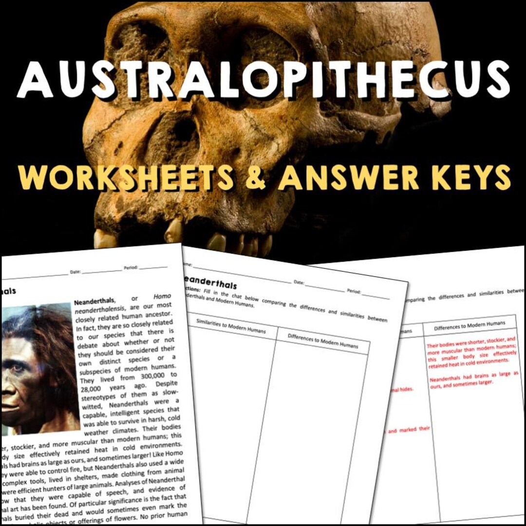 Australopithecus Early Humans Reading Worksheets and Answer Keys - Etsy
