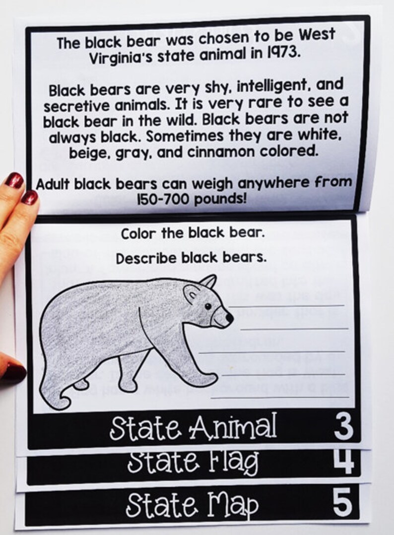 West Virginia State Flip Book | 3-5 | Homeschool | Social Studies ...