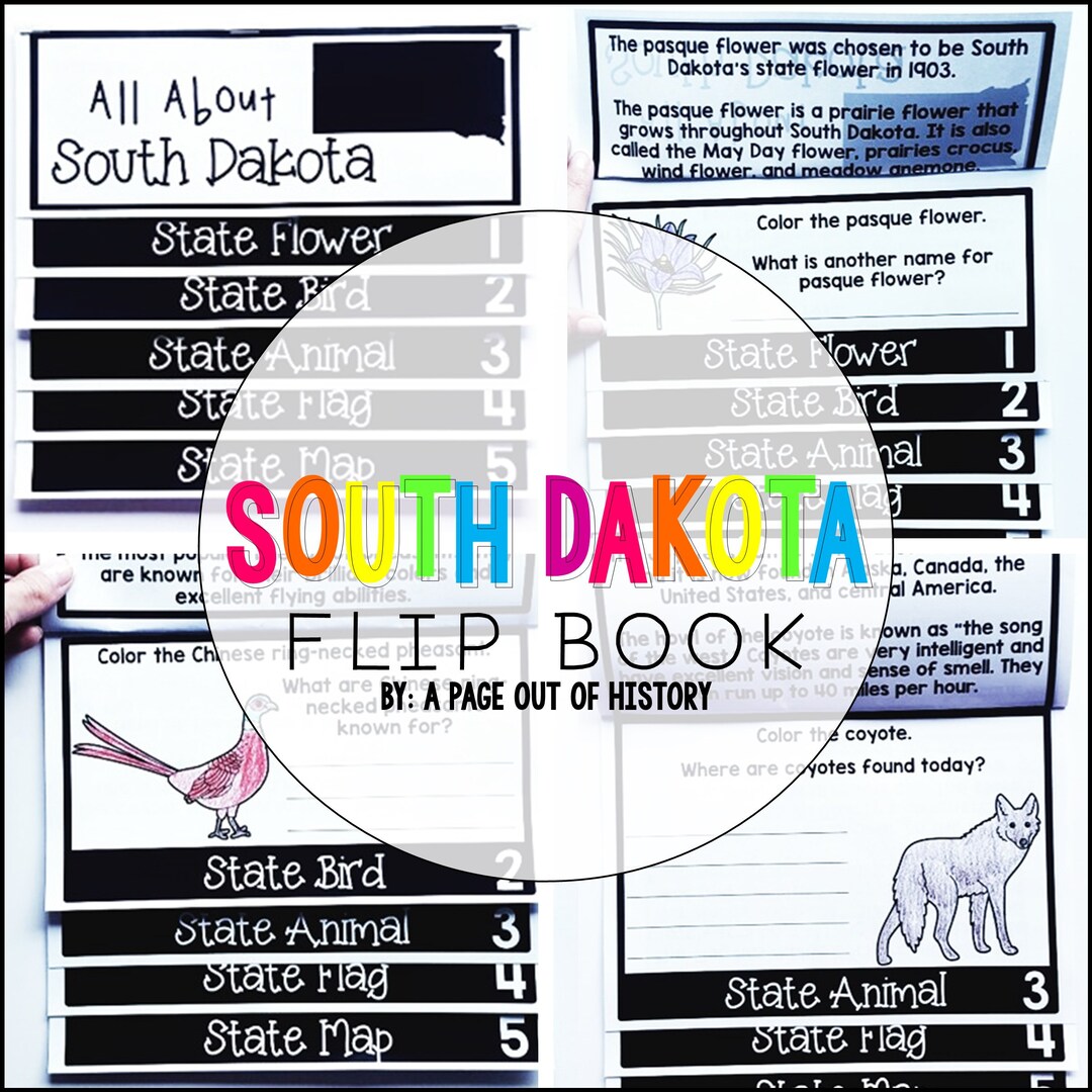 South Dakota 3rd-5th Grade State Lesson | Symbols, Map, Flag, Reading ...