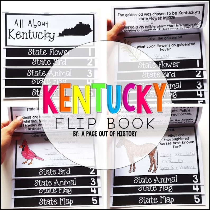 Kentucky State Flip Book | 3-5 | Homeschool | Social Studies Printable ...