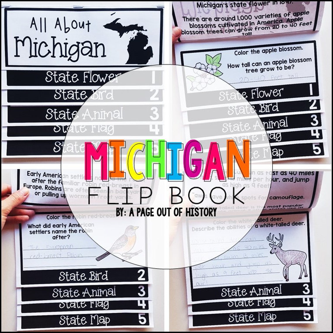 Michigan 3rd-5th Grade State Lesson | Symbols, Map, Flag, Reading ...