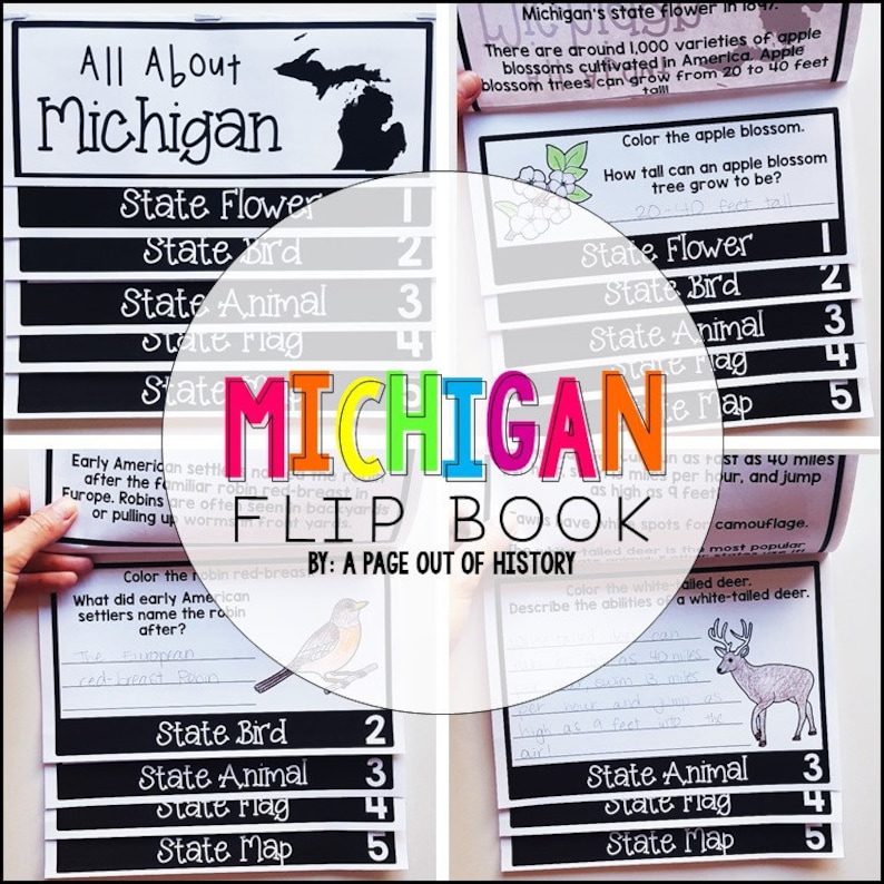 Michigan 3rd-5th Grade State Lesson | Symbols, Map, Flag, Reading ...