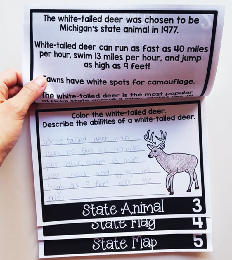 Michigan 3rd-5th Grade State Lesson | Symbols, Map, Flag, Reading ...