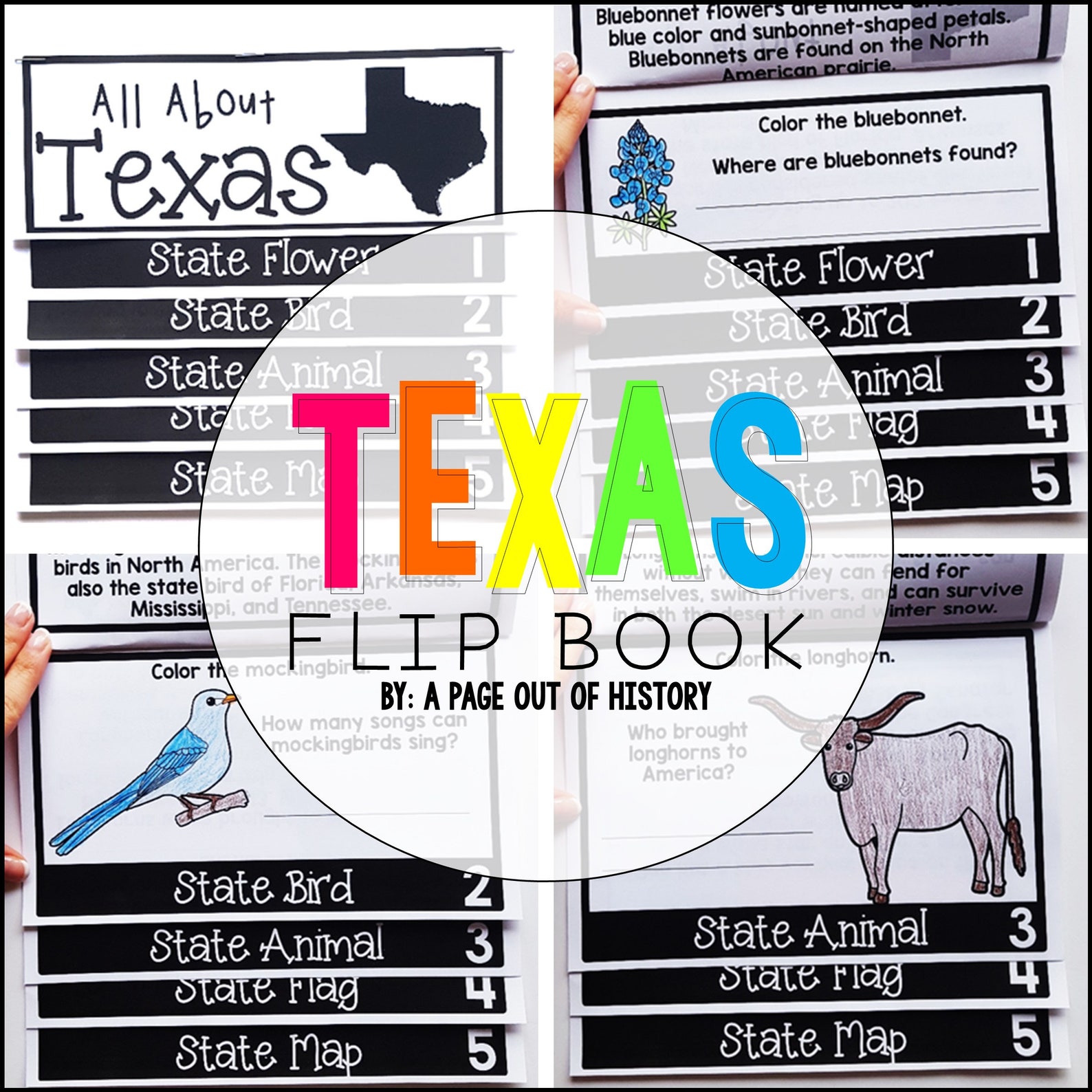 Texas State Flip Book | 3-5 | Homeschool | Social Studies Printable ...