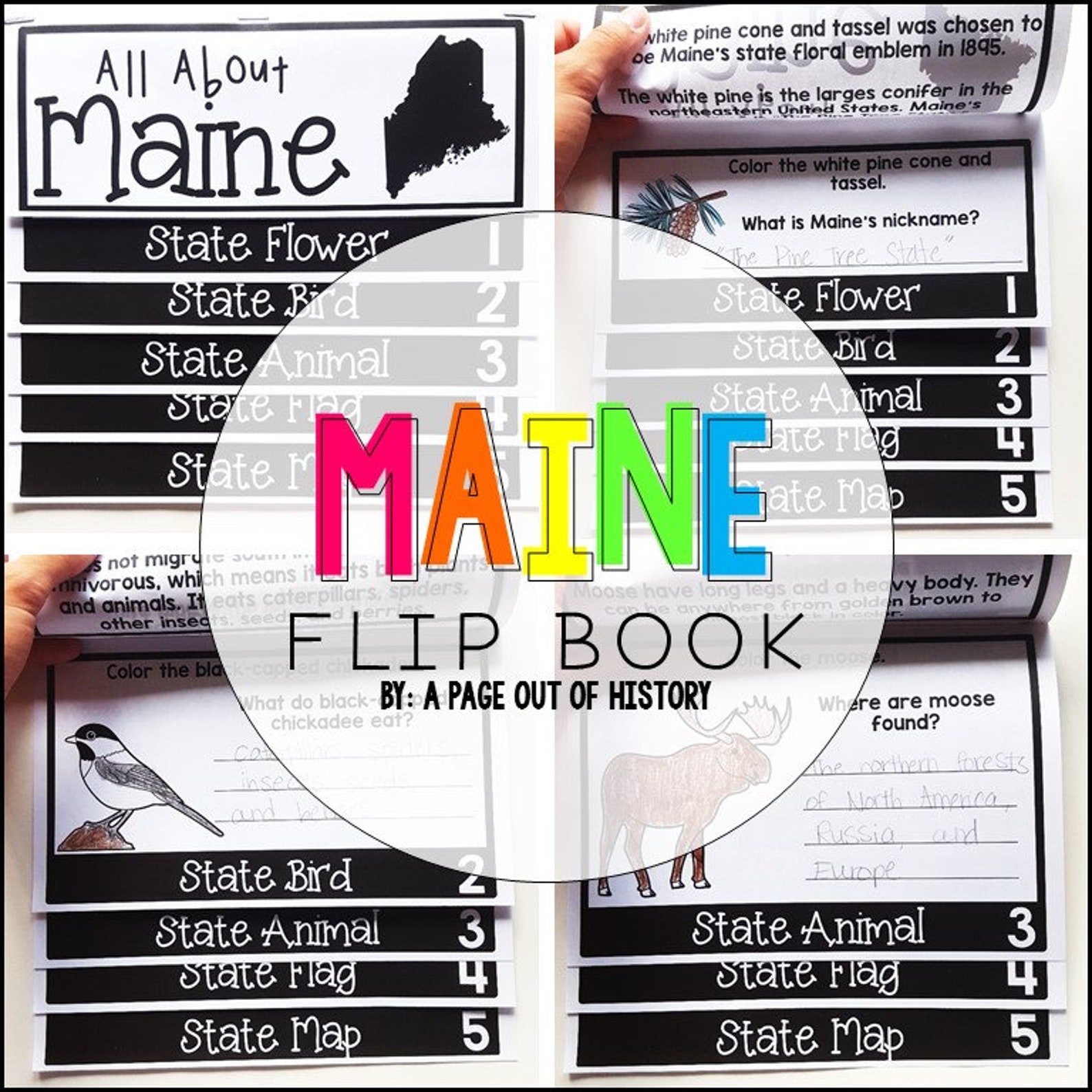 Maine 3rd-5th Grade State Lesson | Symbols, Map, Flag, Reading, Writing ...