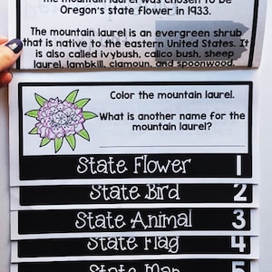 Pennsylvania 3rd-5th Grade State Lesson | Symbols, Map, Flag, Reading ...