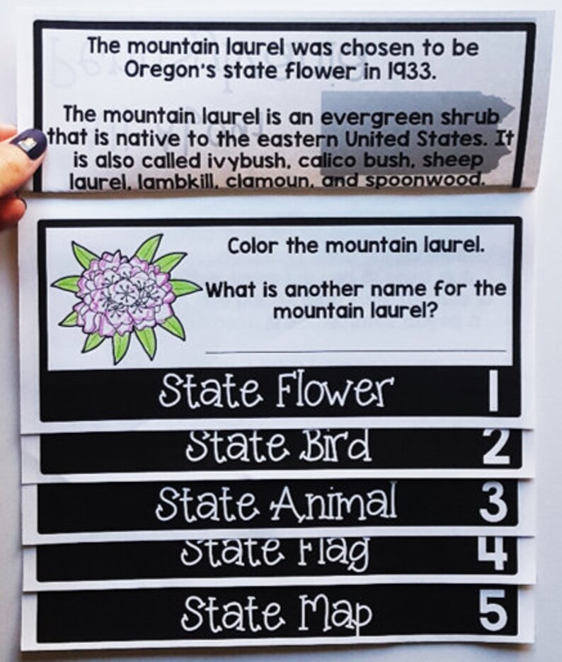 Pennsylvania 3rd-5th Grade State Lesson | Symbols, Map, Flag, Reading ...