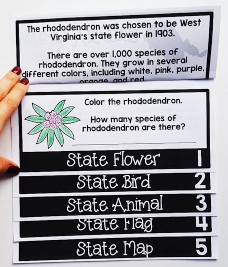 West Virginia 3rd-5th Grade State Lesson | Symbols, Map, Flag, Reading ...