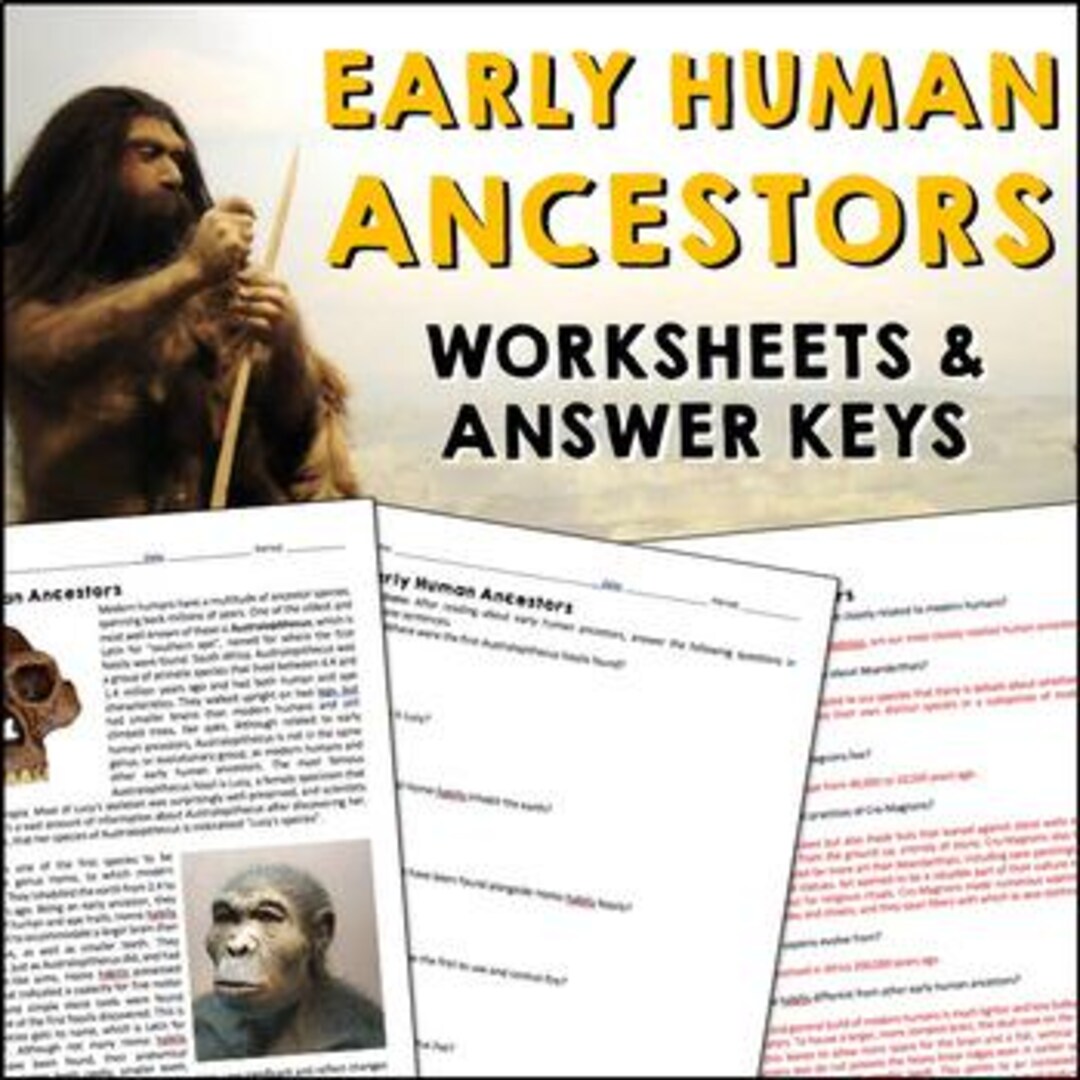 Early Human Ancestors Reading Worksheets and Answer Keys - Etsy