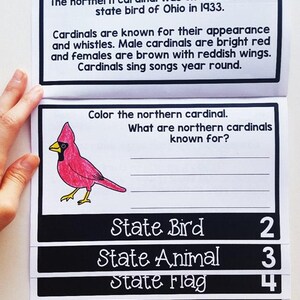 Ohio 3rd-5th Grade State Lesson | Symbols, Map, Flag, Reading, Writing ...