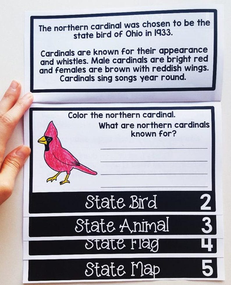 Ohio 3rd-5th Grade State Lesson | Symbols, Map, Flag, Reading, Writing ...