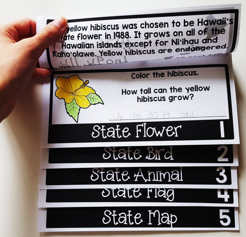 Hawaii State Fact Sheet Flipbook: Zustand Symbole, Karte, Flagge ...