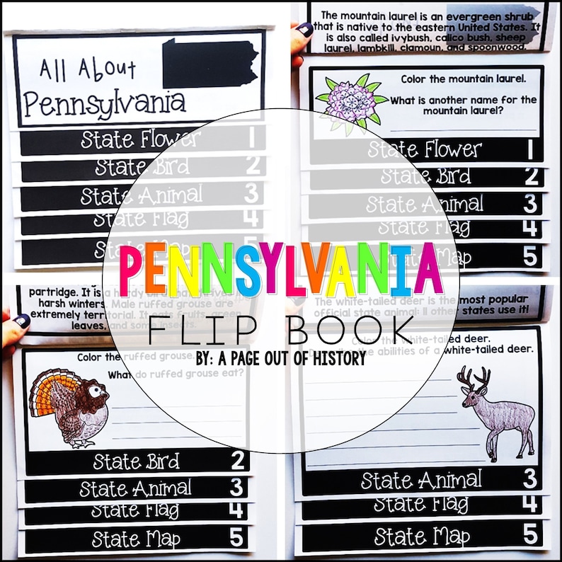 Pennsylvania 3rd-5th Grade State Lesson | Symbols, Map, Flag, Reading ...