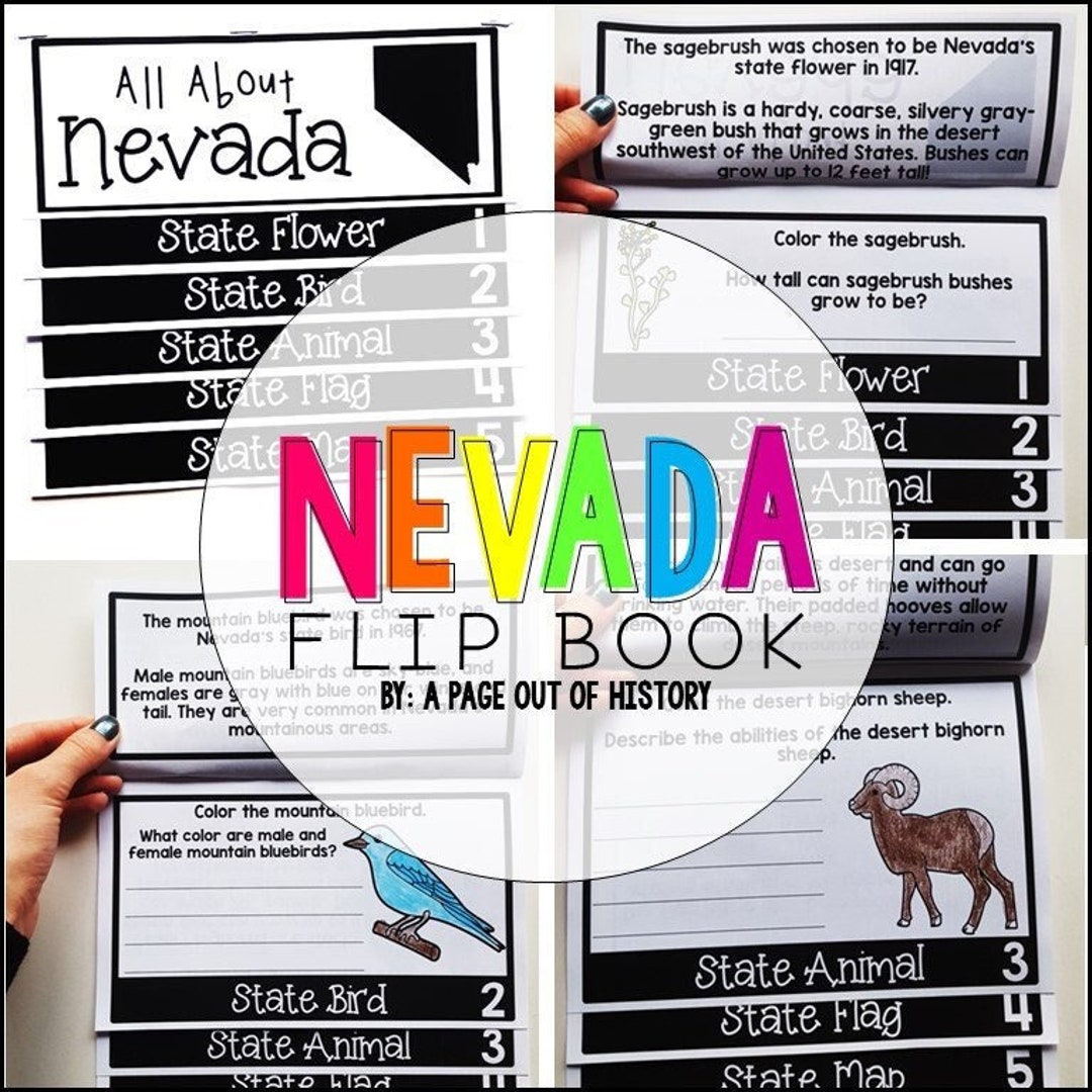Nevada State Flip Book | 3-5 | Homeschool | Social Studies Printable ...