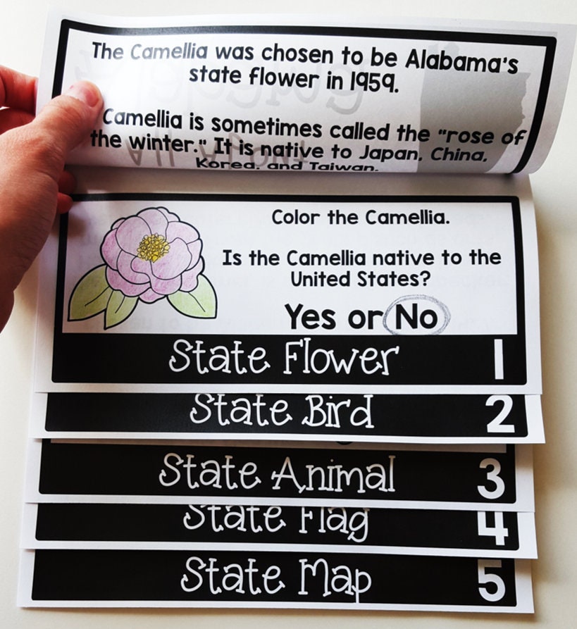 Alabama 3rd-5th Grade State Lesson | Symbols, Map, Flag, Reading ...
