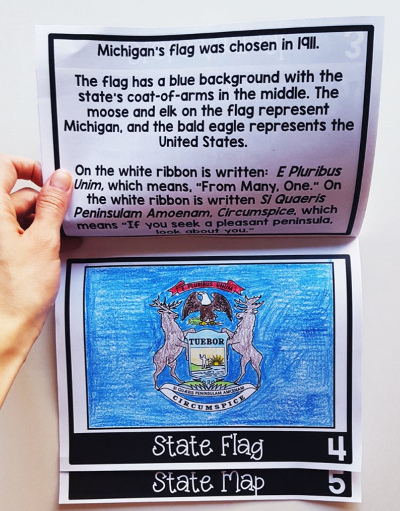 Michigan 3rd-5th Grade State Lesson | Symbols, Map, Flag, Reading ...