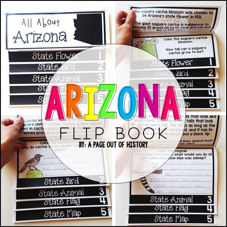 Arizona 3rd-5th Grade State Lesson | Symbols, Map, Flag, Reading ...