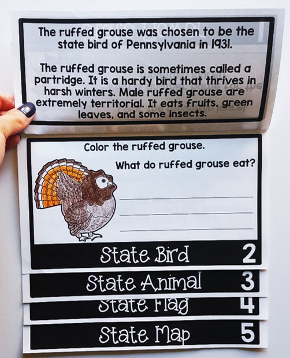 Pennsylvania 3rd-5th Grade State Lesson | Symbols, Map, Flag, Reading ...