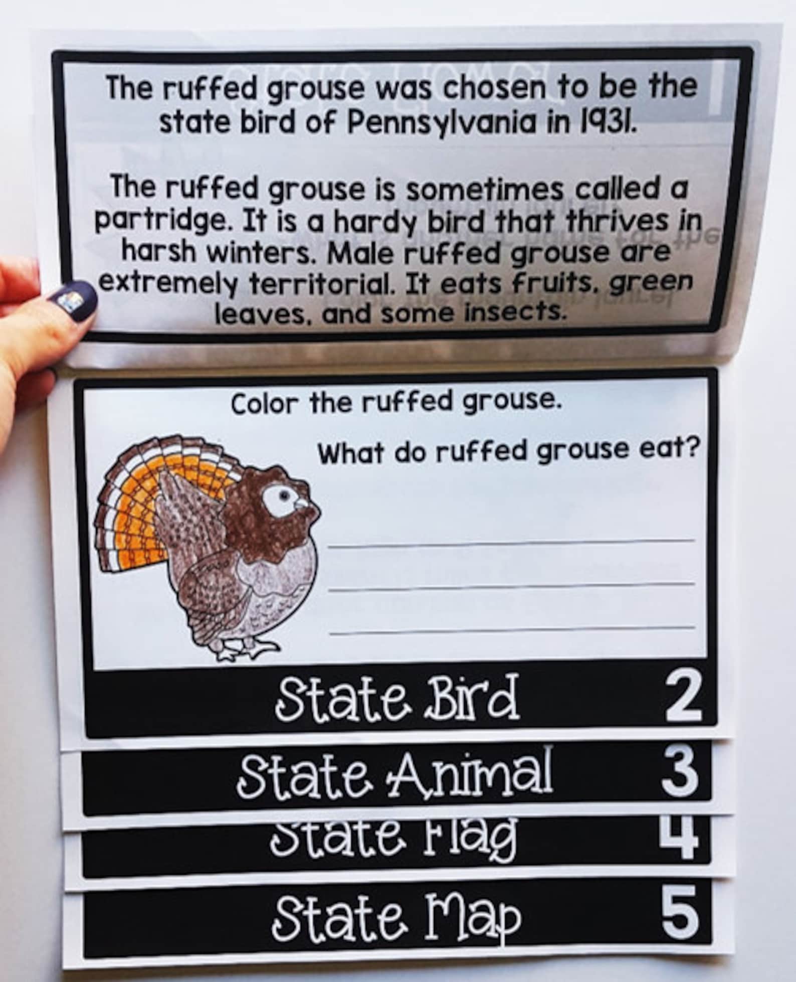 Pennsylvania 3rd-5th Grade State Lesson | Symbols, Map, Flag, Reading ...