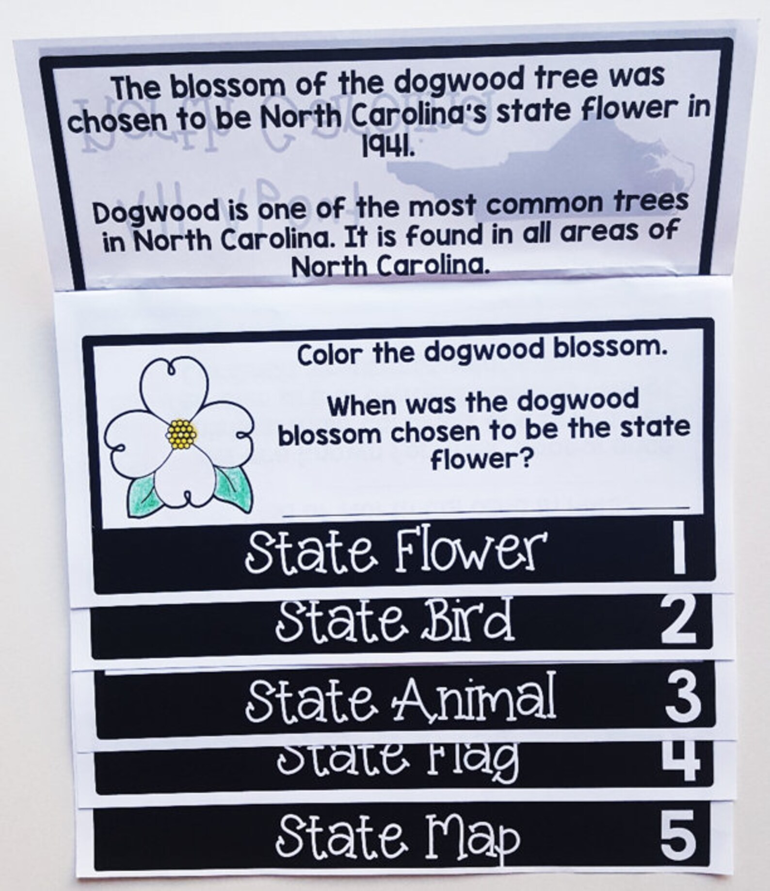 North Carolina State Flip Book | 3-5 | Homeschool | Social Studies ...