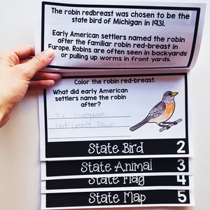 Michigan 3rd-5th Grade State Lesson | Symbols, Map, Flag, Reading ...
