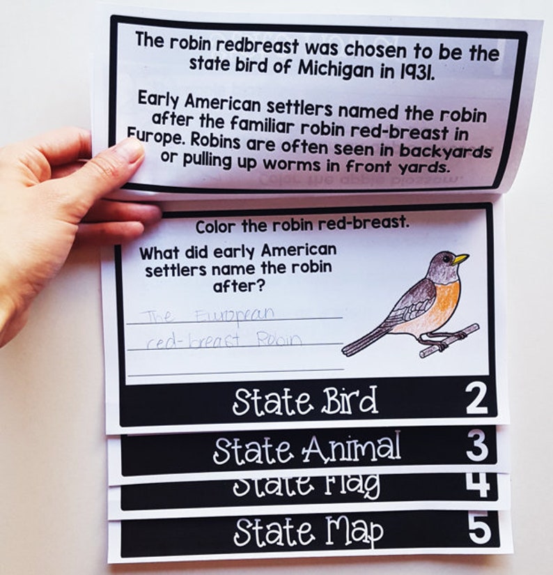 Michigan 3rd-5th Grade State Lesson | Symbols, Map, Flag, Reading ...