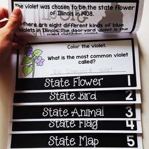 Illinois State Flip Book | 3-5 | Homeschool | Social Studies Printable ...