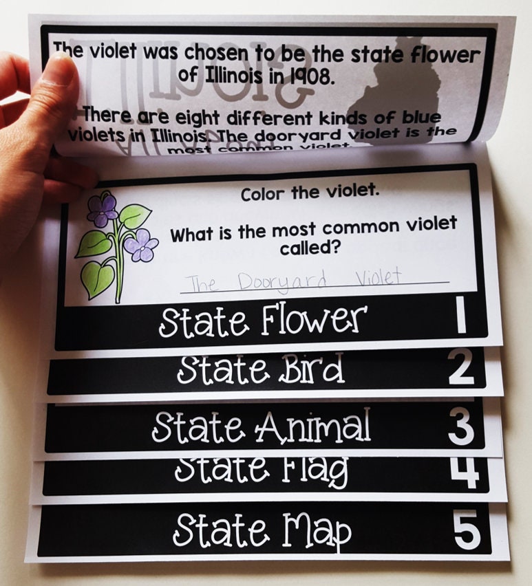 Illinois State Flip Book 3-5 Homeschool Social Studies Printable ...
