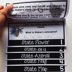 Maine 3rd-5th Grade State Lesson | Symbols, Map, Flag, Reading, Writing ...