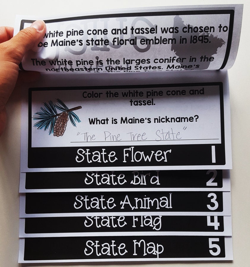 Maine 3rd-5th Grade State Lesson | Symbols, Map, Flag, Reading, Writing ...